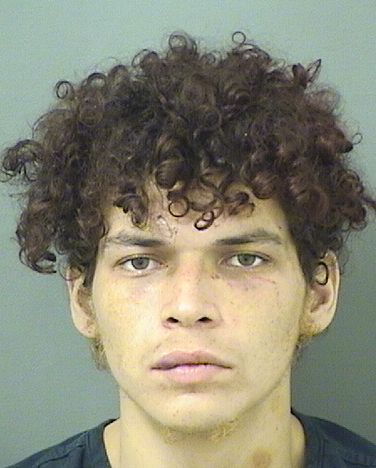 DYLAN MCDOWELL Records | DYLAN MCDOWELL Data | DYLAN MCDOWELL Age, Address